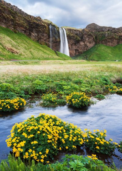 Packages for Hengill Ultra Marathon 2026 in Iceland