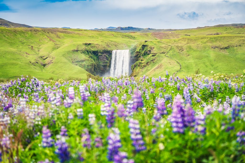Iceland's New EES Border System: What Travelers Need to Know
